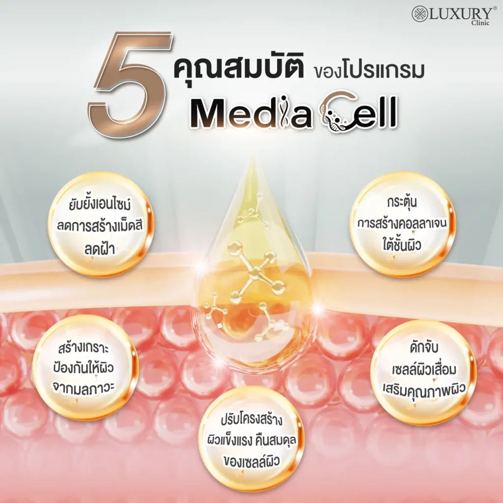 Media Cell การดูแลผิว หยุดผิวเสื่อมก่อนวัย ปรับผิวอ่อนเยาว์